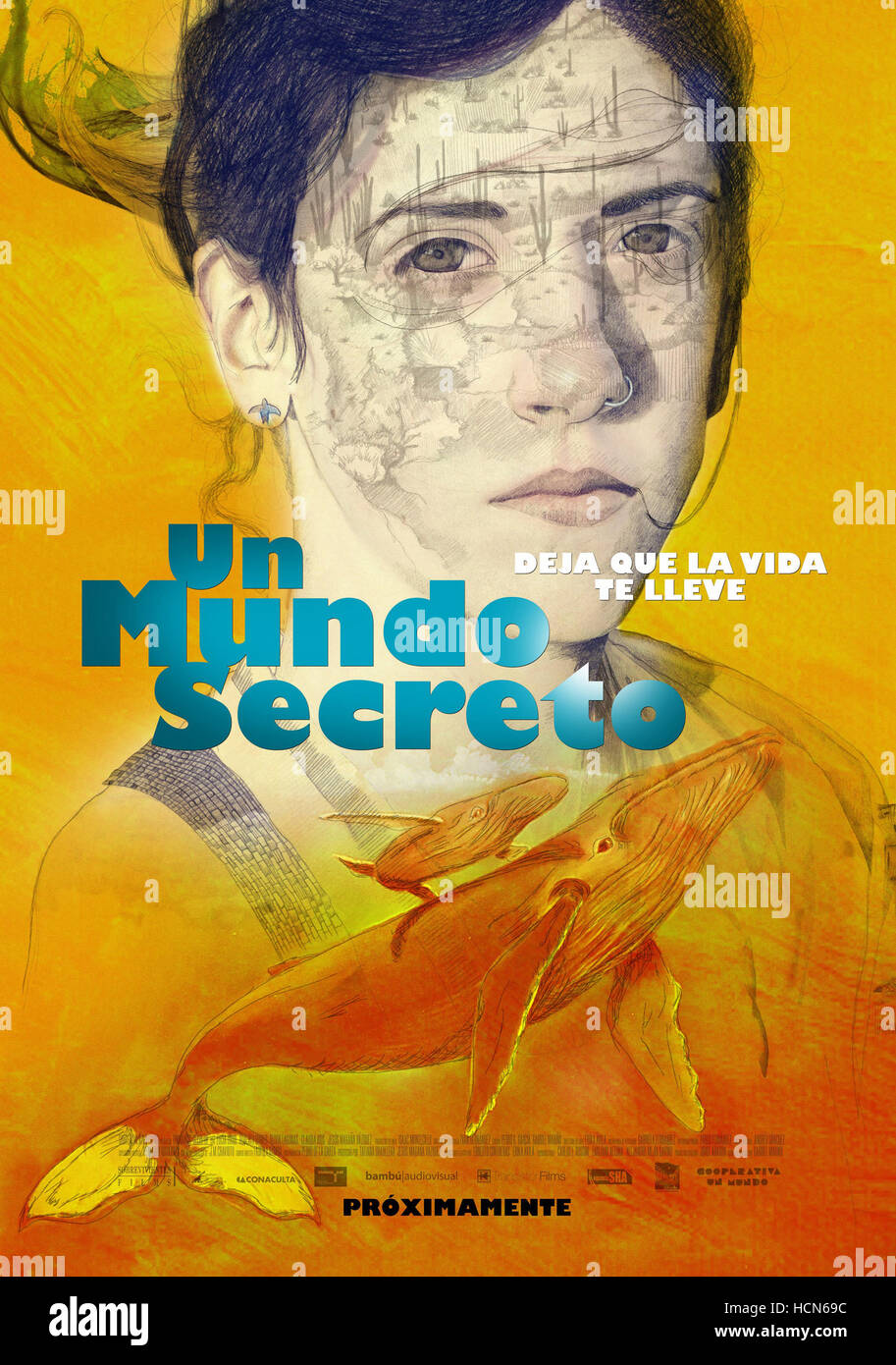 A SECRET WORLD, (aka UN MUNDO SECRETO), Mexican poster art, 2012 Stock ...