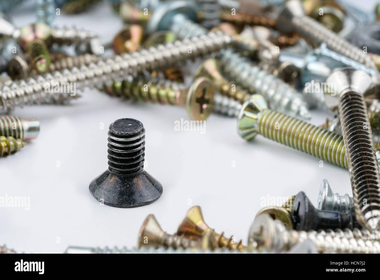 Screw with close up view Stock Photo - Alamy