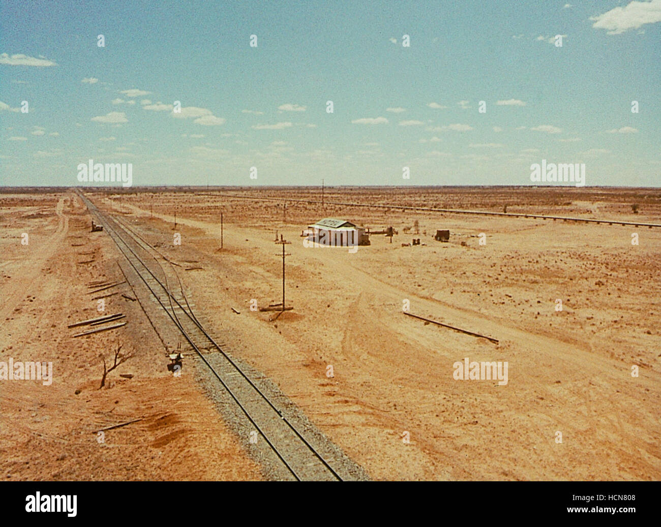 WAKE IN FRIGHT, (aka OUTBACK), 1971 Stock Photo - Alamy