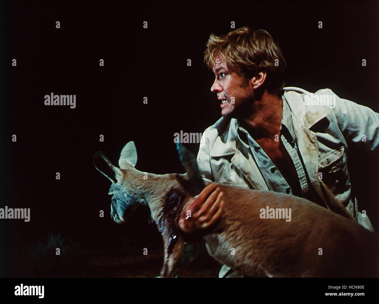 WAKE IN FRIGHT, (aka OUTBACK), Gary Bond, 1971 Stock Photo - Alamy