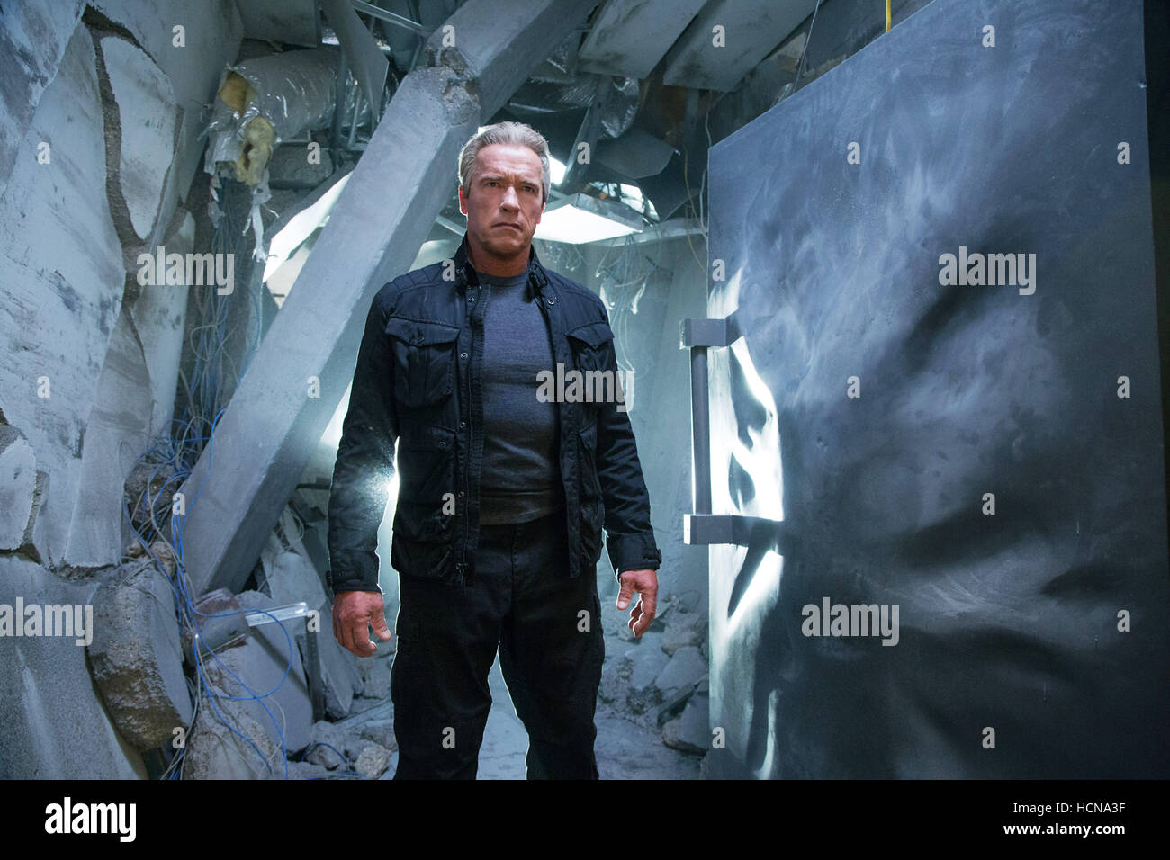 TERMINATOR GENISYS, Arnold Schwarzenegger, 2015. ph: Melinda Sue Gordon ...