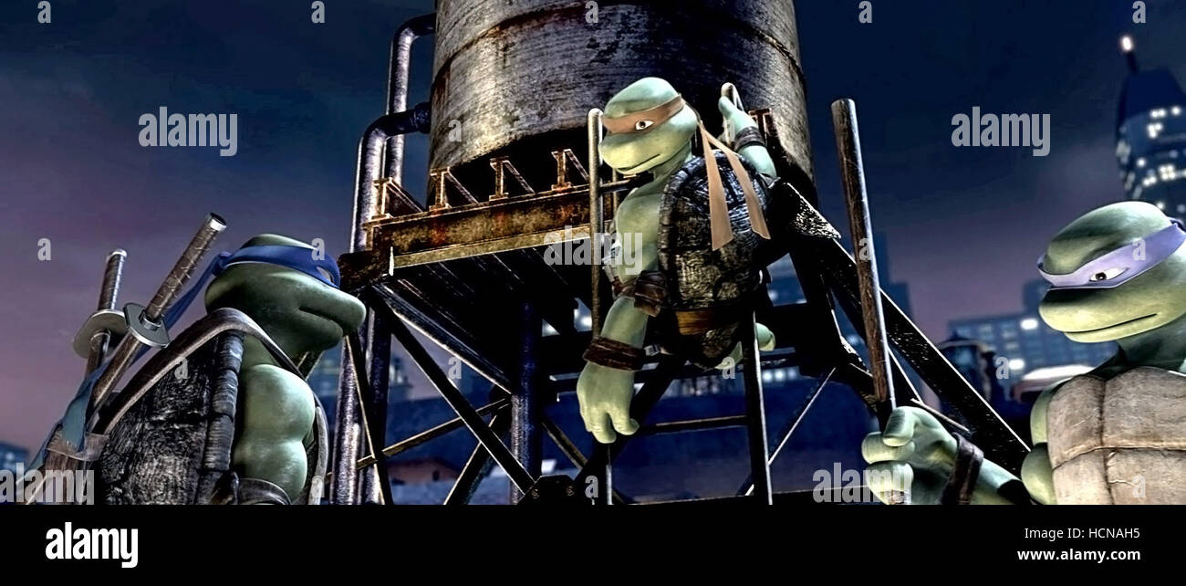 TMNT, (aka TEENAGE MUTANT NINJA TURTLES), Leonardo, Raphael, Donatello ...