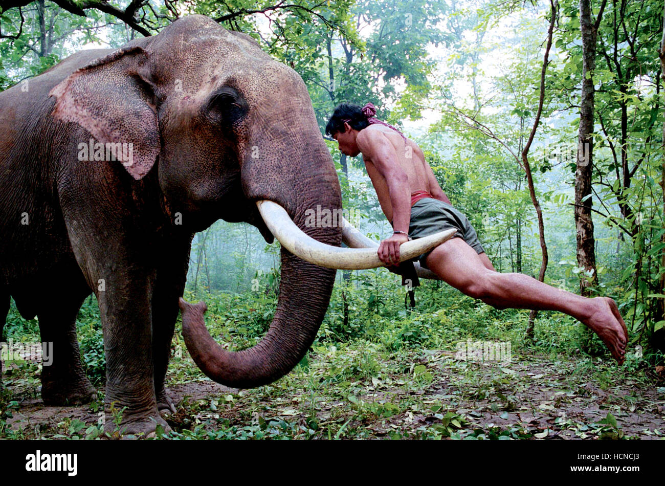 TOM YUM GOONG, (aka THE PROTECTOR, aka WARRIOR KING), Tony Jaa, 2005 ...