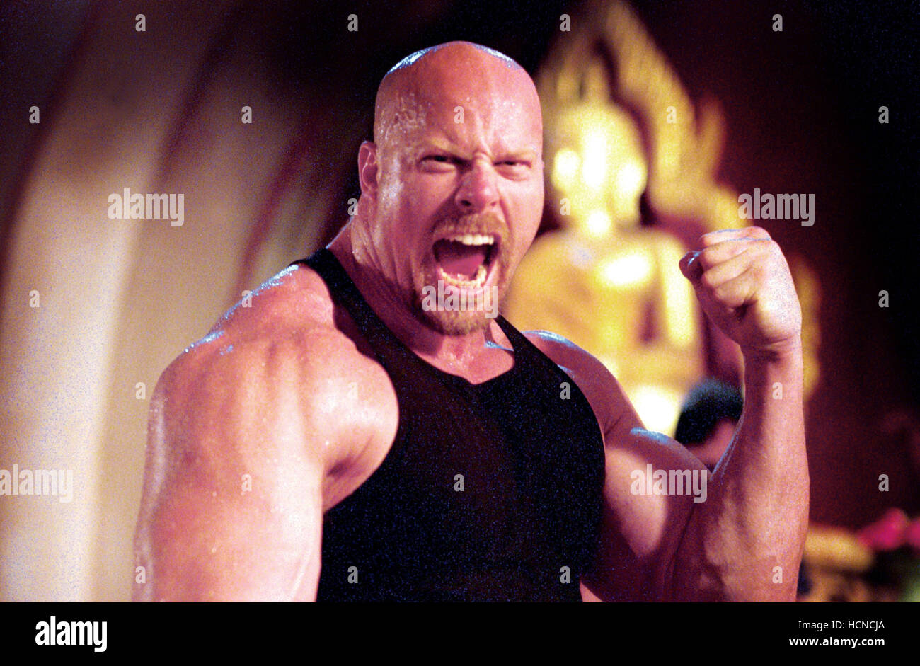 TOM YUM GOONG, (aka THE PROTECTOR, aka WARRIOR KING), Nathan Jones ...