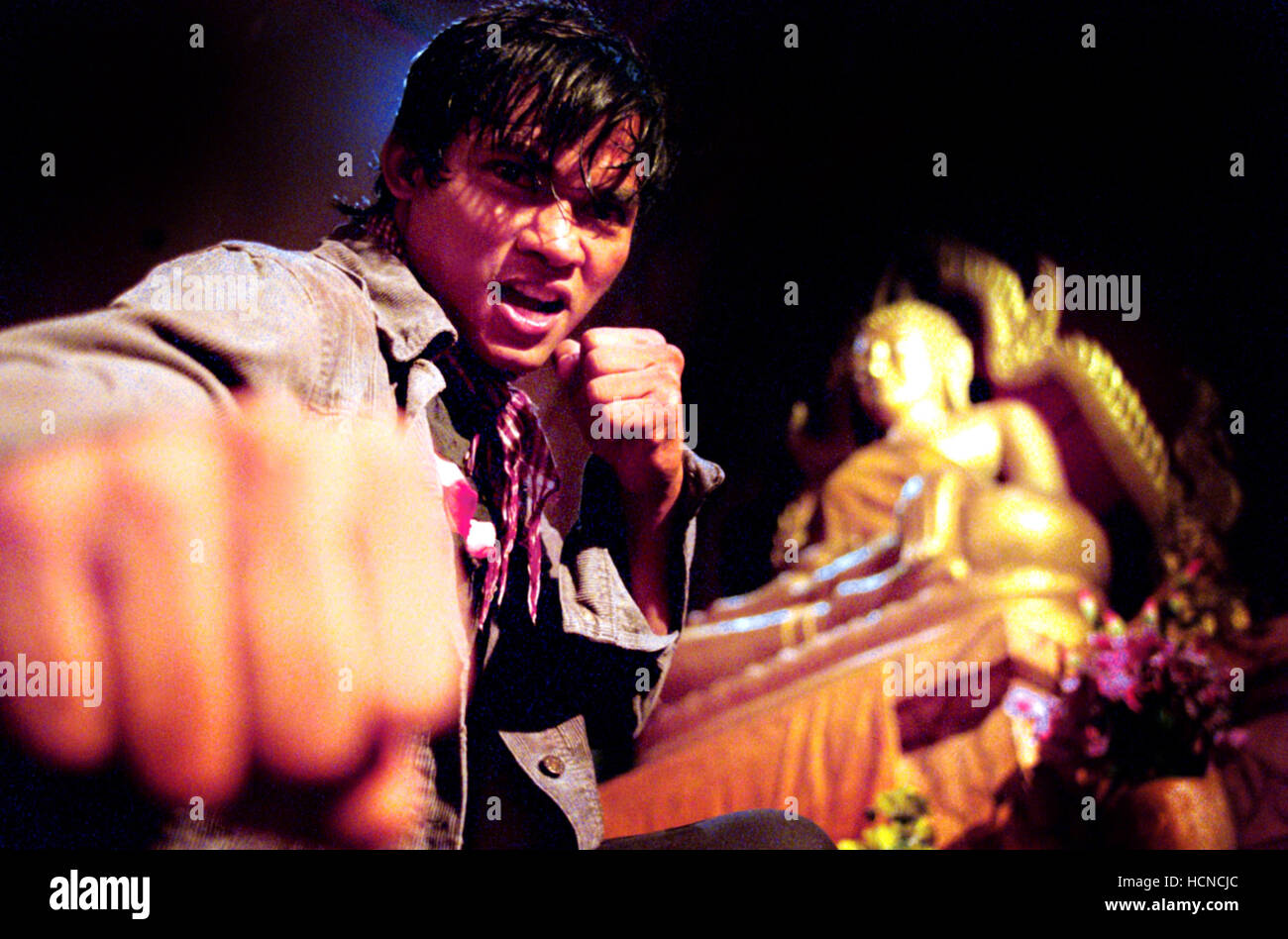 TOM YUM GOONG, (aka THE PROTECTOR, aka WARRIOR KING), Tony Jaa, 2005 ...