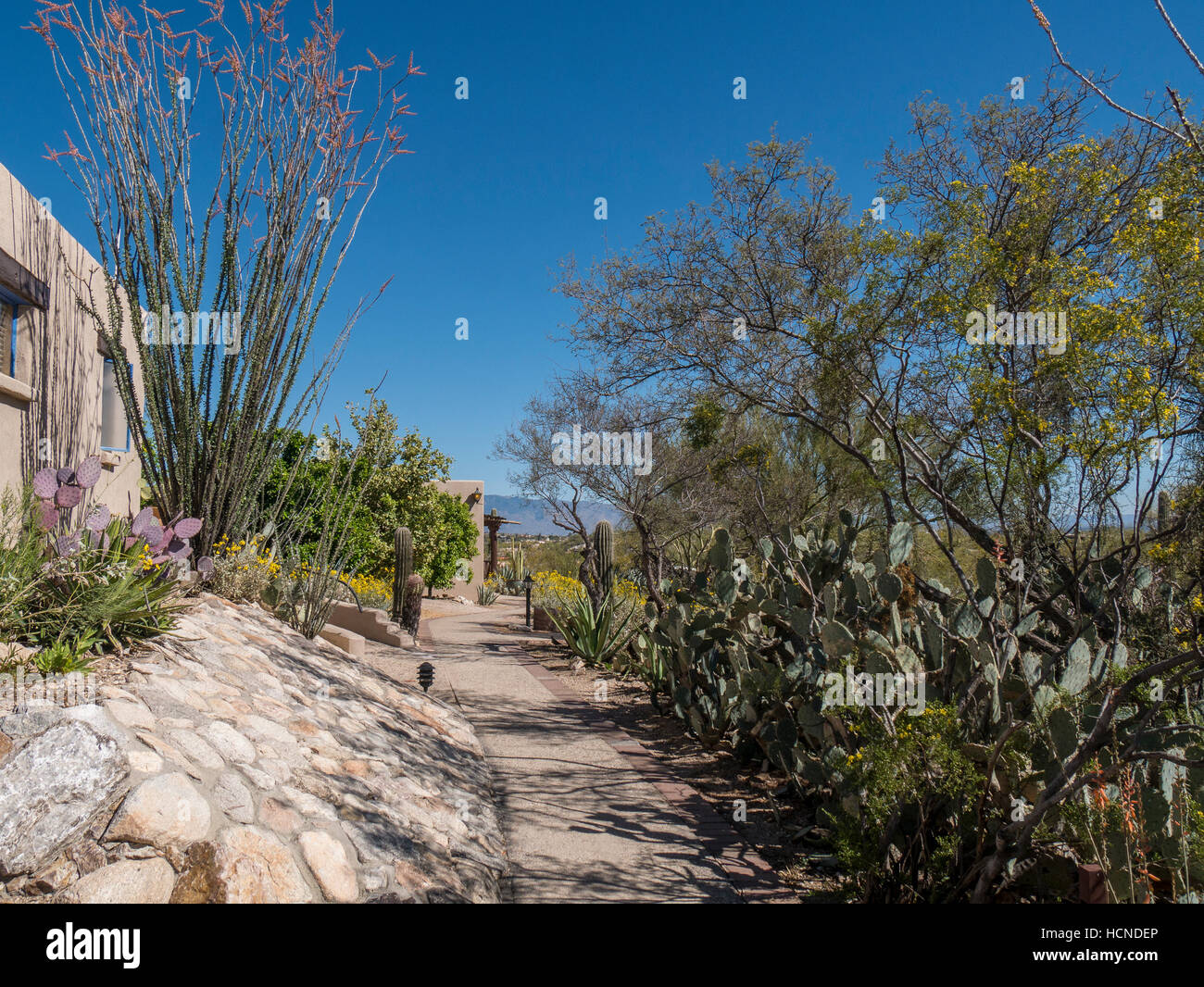 Hacienda Del Sol Guest Ranch Resort, Tucson, Arizona Stock Photo - Alamy