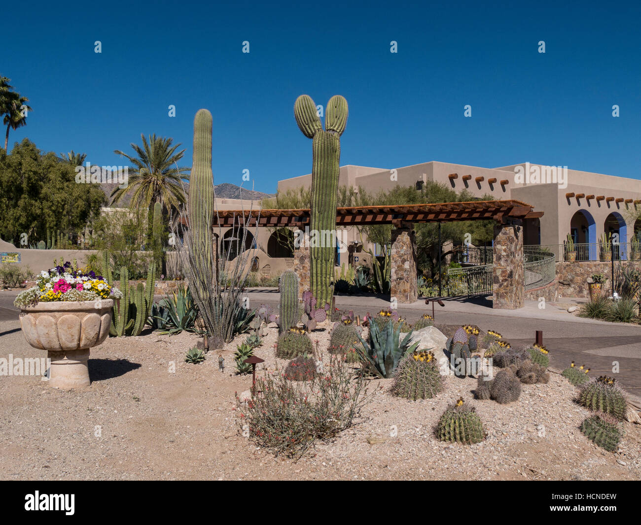Hacienda Del Sol Guest Ranch Resort, Tucson, Arizona Stock Photo - Alamy
