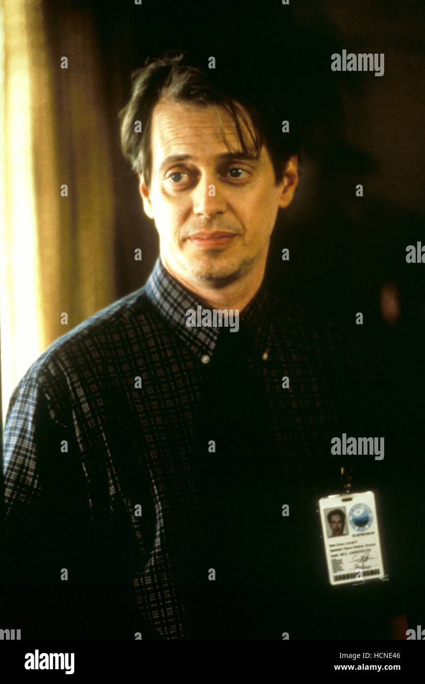 28 DAYS, Steve Buscemi, 2000. ©Columbia Pictures/courtesy Everett ...