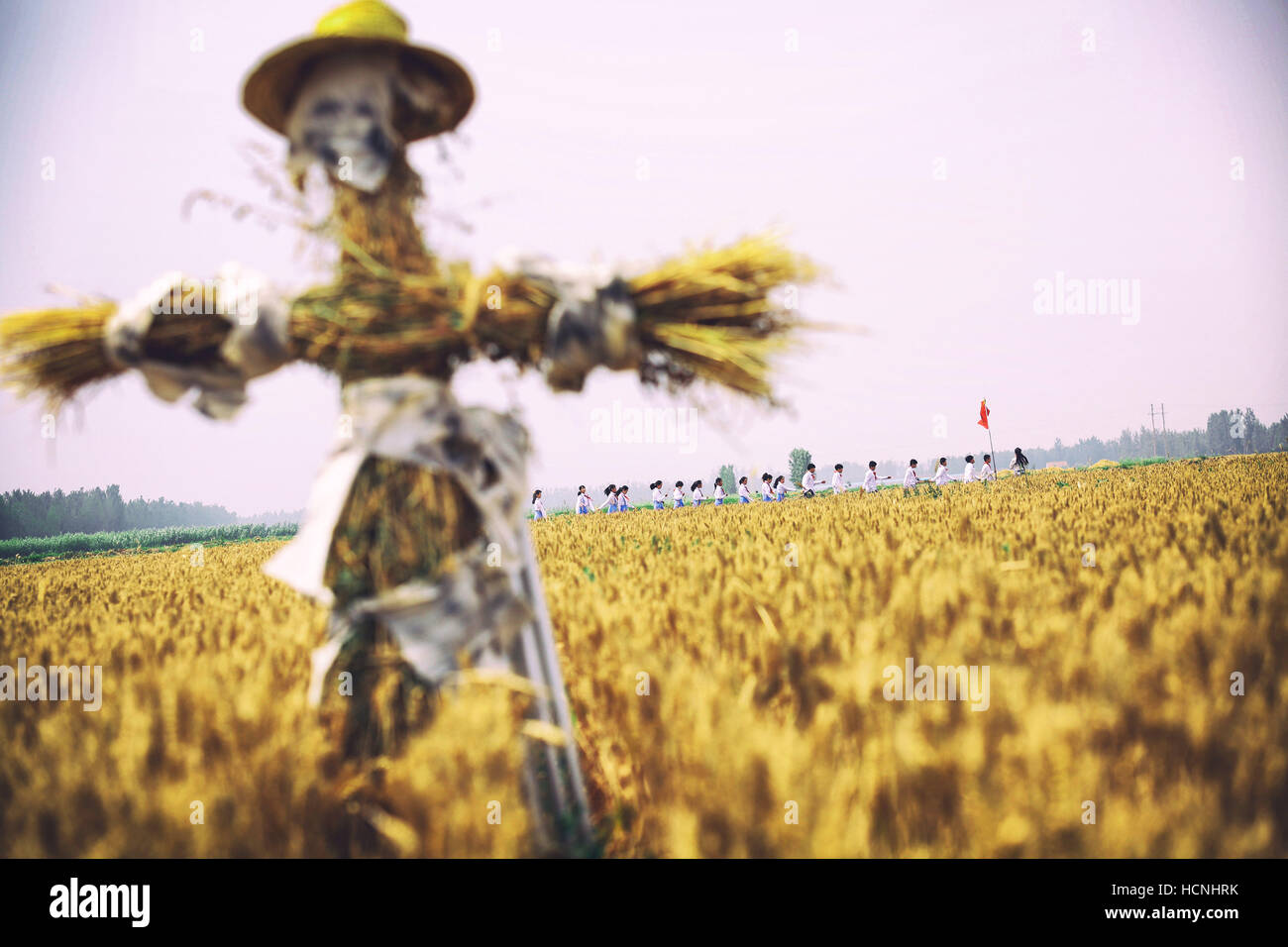 WHAT'S IN THE DARKNESS, (aka HEI CHU YOU SHEN ME), 2015 Stock Photo - Alamy