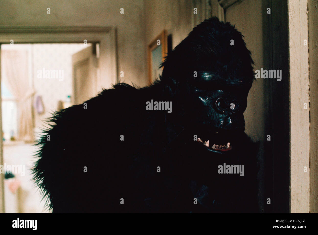 WHERE'S POPPA?, Ron Leibman, 1970 Stock Photo - Alamy