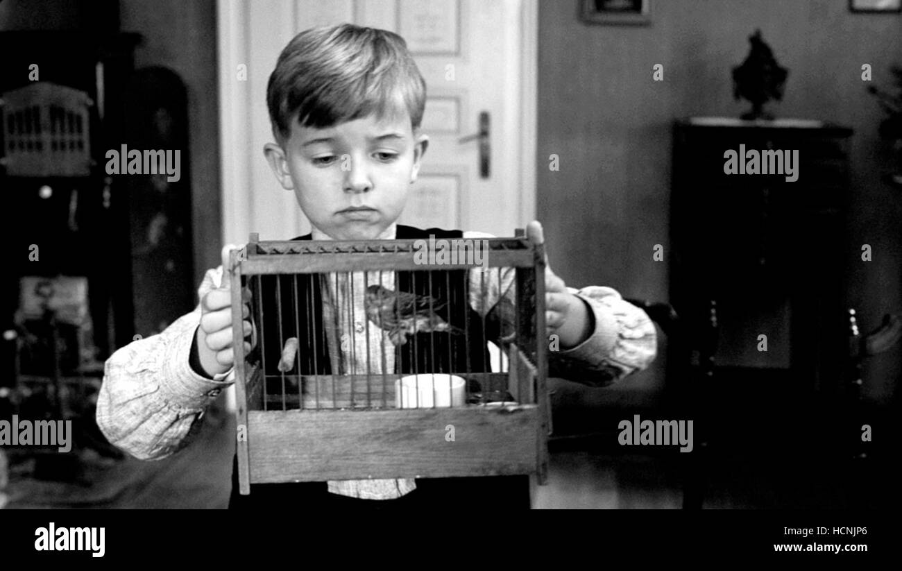 THE WHITE RIBBON, (aka DAS WEISSE BAND-EINE DEUTSCHE KINDERGESCHICHTE ...