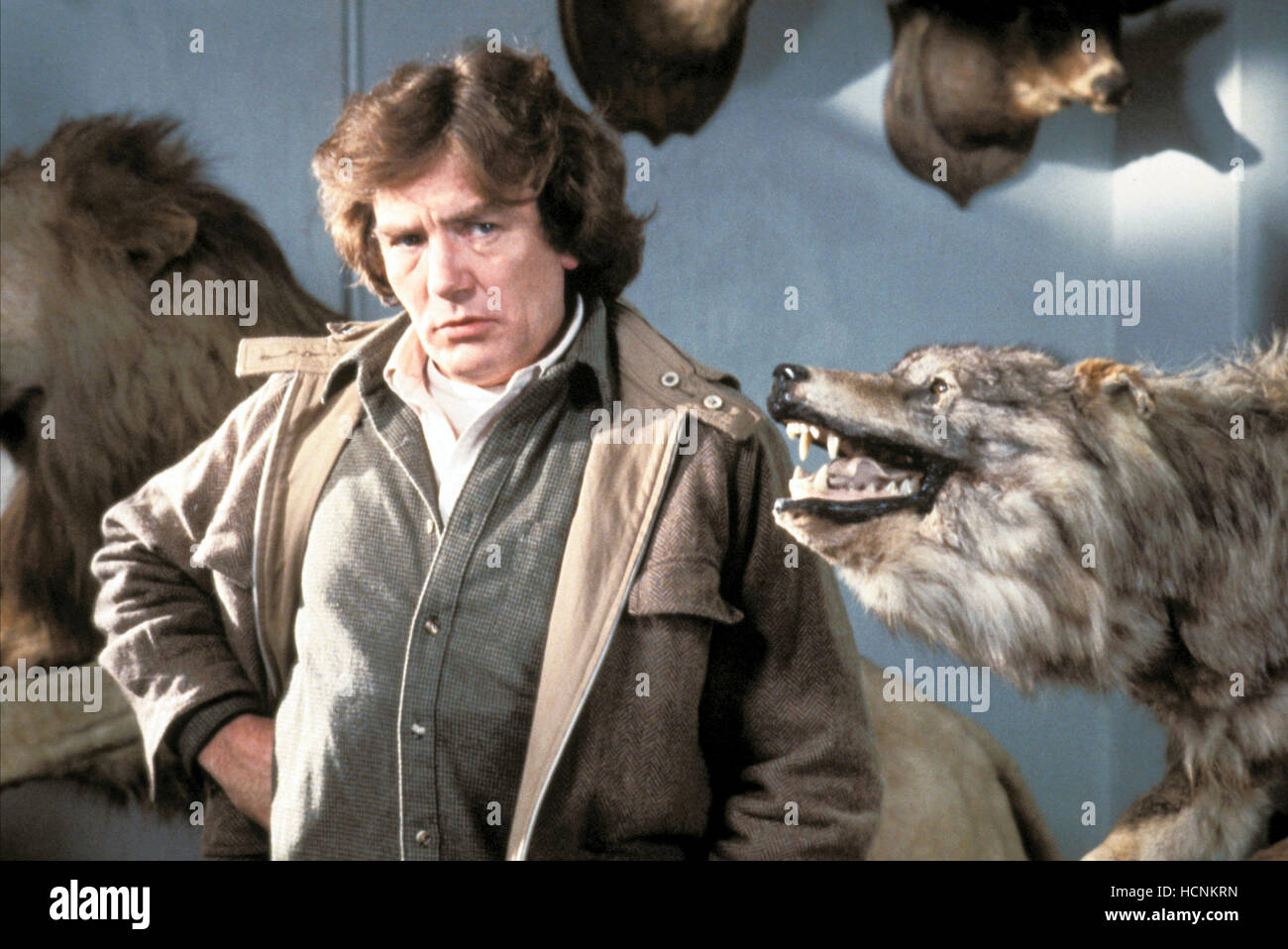 WOLFEN, Albert Finney, 1981, (c) Orion/courtesy Everett Collection ...