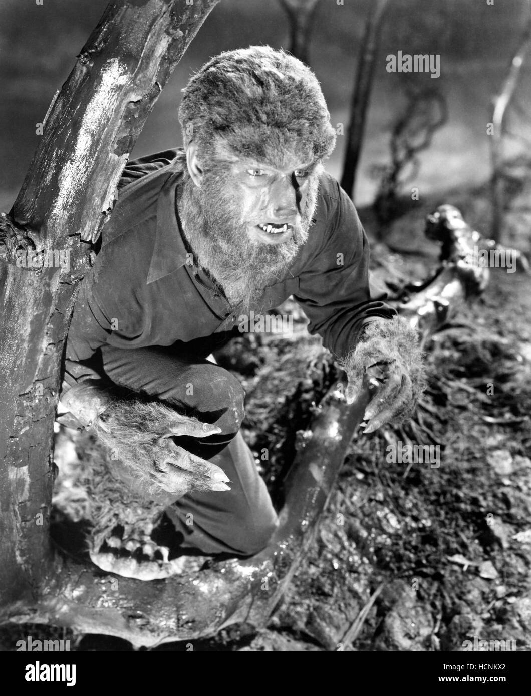 HOUSE OF FRANKENSTEIN, Lon Chaney Jr., 1944 Stock Photo - Alamy