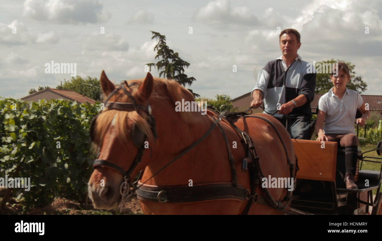 A YEAR IN BURGUNDY, Dominique Cornin (left), 2013. ©Kino Lorber ...