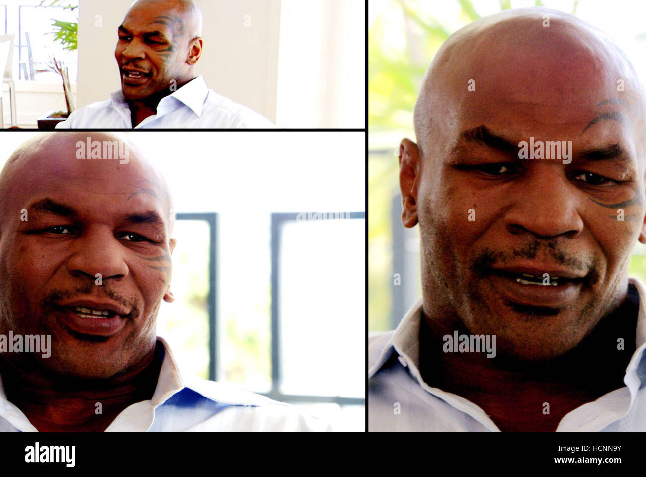 TYSON, Mike Tyson, 2008. ©Sony Pictures Classics/Courtesy Everett ...