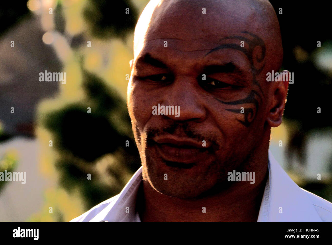 TYSON, Mike Tyson, 2008. ©Sony Pictures Classics/Courtesy Everett ...