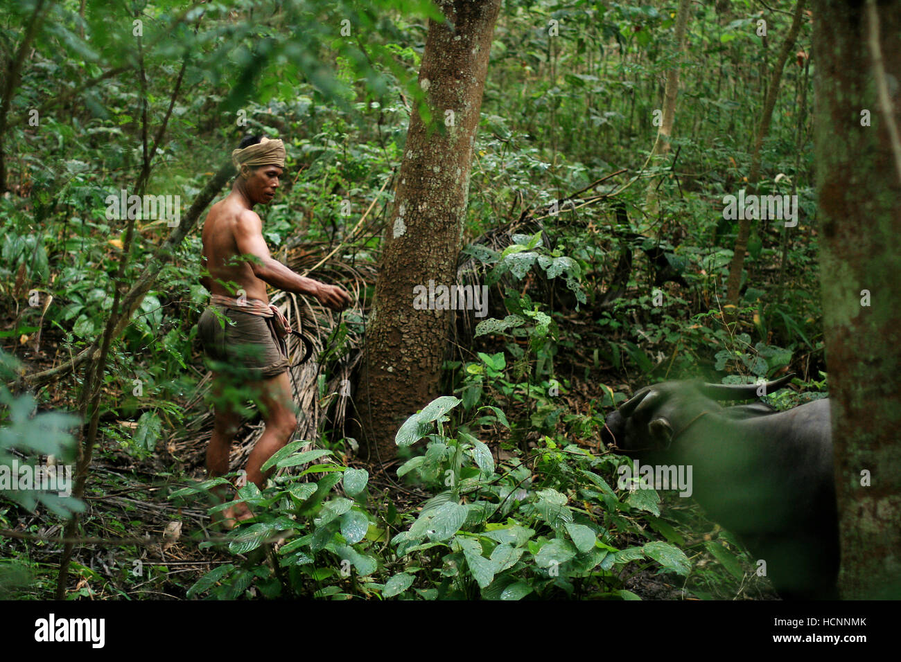 UNCLE BOONMEE WHO CAN RECALL HIS PAST LIVES, (aka LOONG BOONMEE RALEUK ...