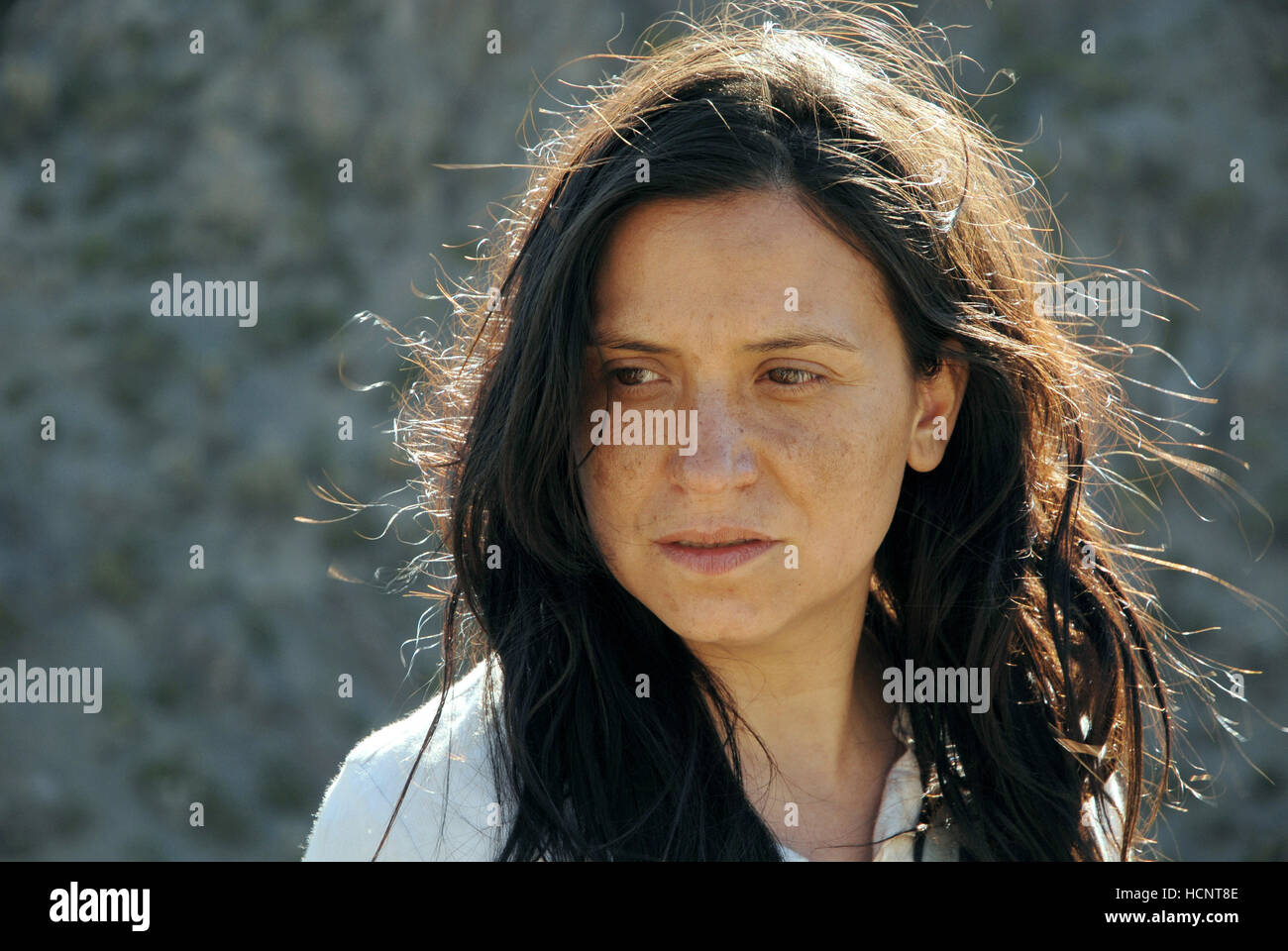 VIOLETA WENT TO HEAVEN, (aka VIOLETA SE FUE A LOS CIELOS), Francisca ...