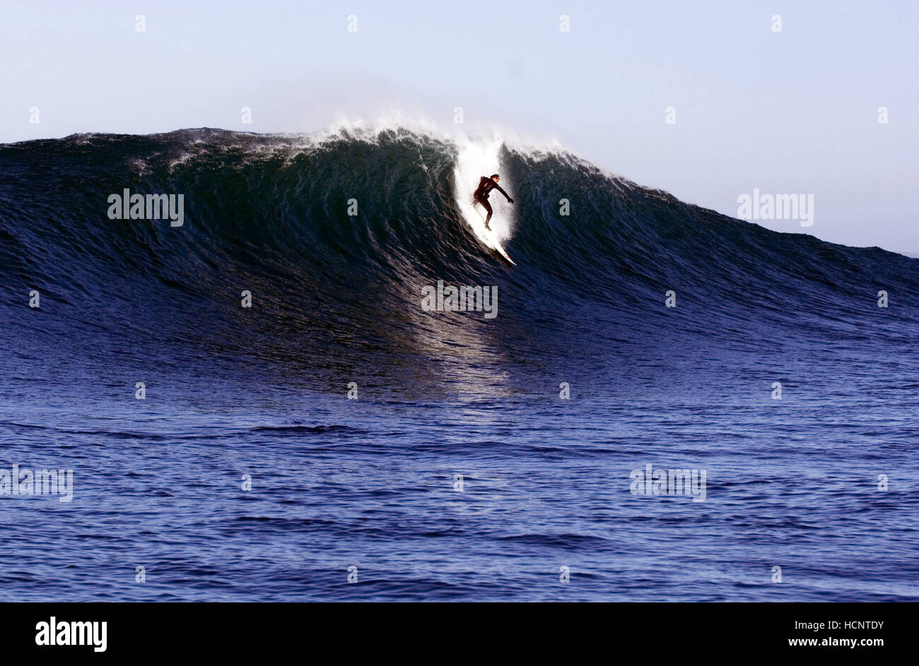 WAVERIDERS, Gabe Davies, 2008. ©Revolver Entertainment/Courtesy Everett ...