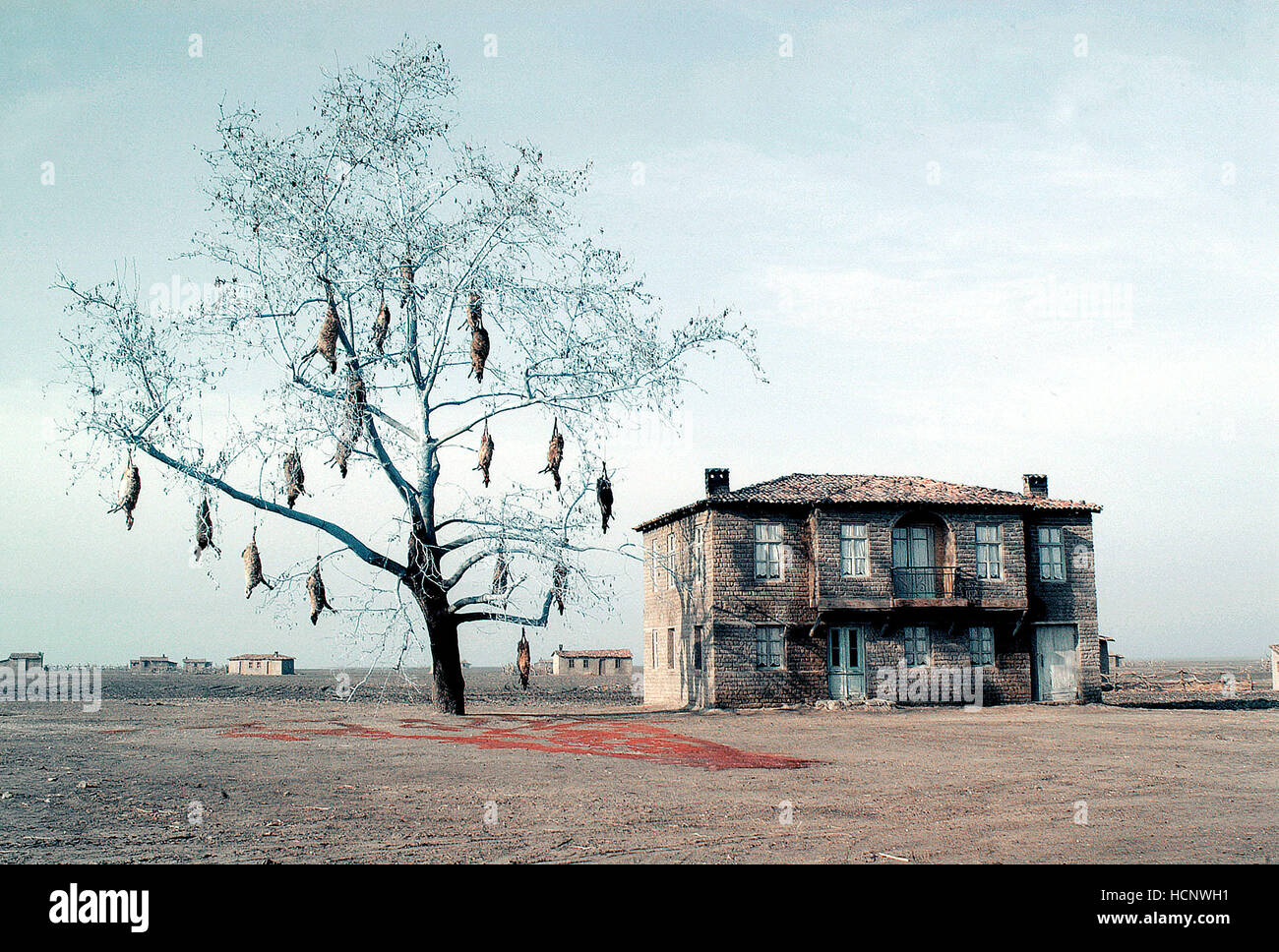 THE WEEPING MEADOW (aka TRILOGIA I: TO LIVADI POU DAKRYZEI aka TRILOGY ...