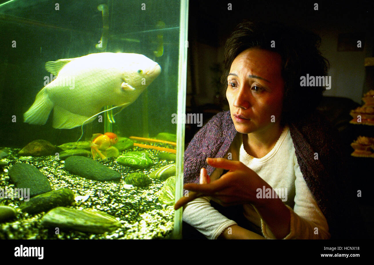 WHAT TIME IS IT THERE NI NEIBIAN JIDIAN Yi Ching Lu 2001 Winstar what-time-is-it-there-ni-neibian-jidian-yi-ching-lu-2001-winstar