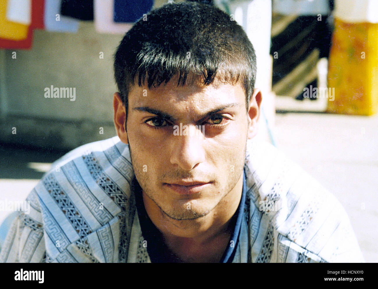 THE WILD DOGS, Visinel Burcea, 2002 Stock Photo - Alamy