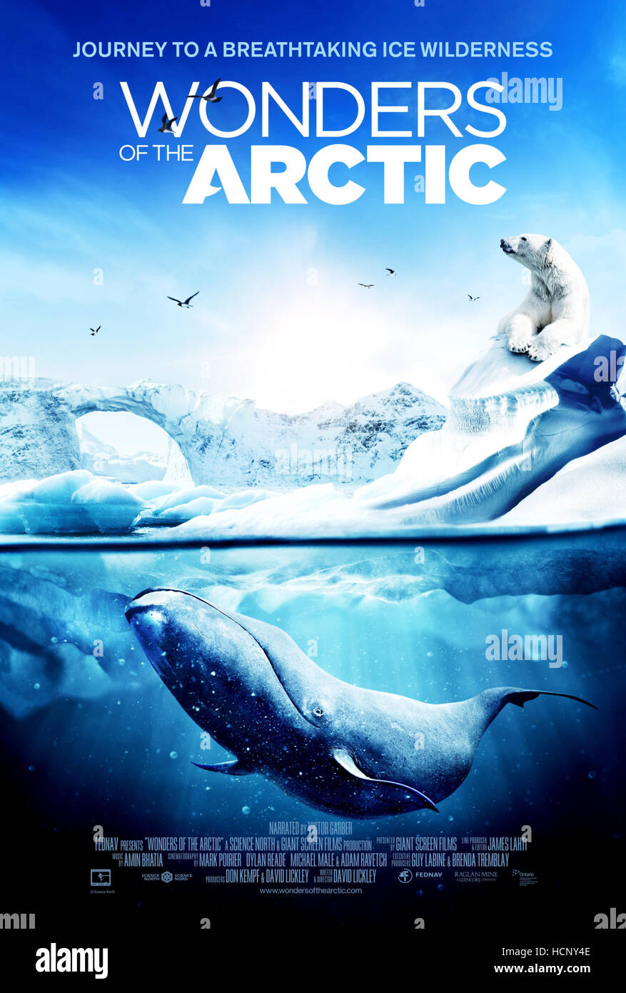 WONDERS OF THE ARCTIC 3D, poster art, 2014. ©Giant Screen Films ...