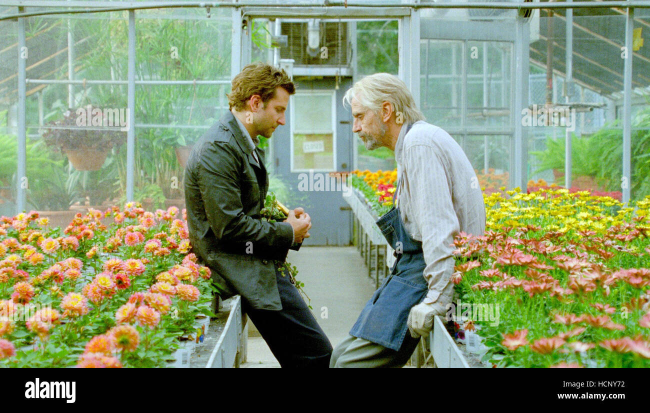 THE WORDS, from left: Bradley Cooper, Jeremy Irons, 2012, ph: Jonathan ...