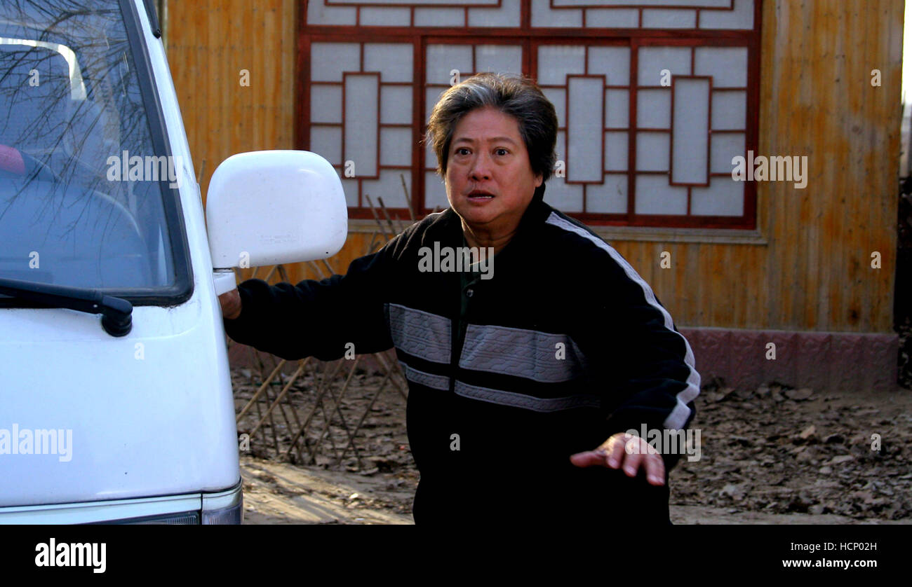WUSHU, Sammo Hung Kam-Bo, 2008. ©Golden Scene/Courtesy Everett ...