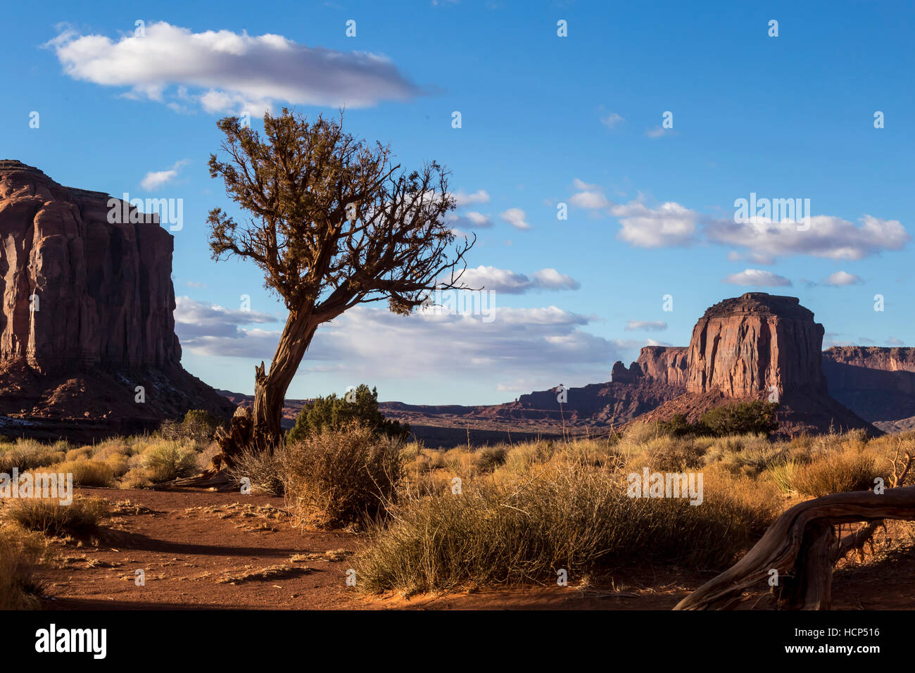 Monument Valley National Park in Arizona, USA Stock Photo - Alamy