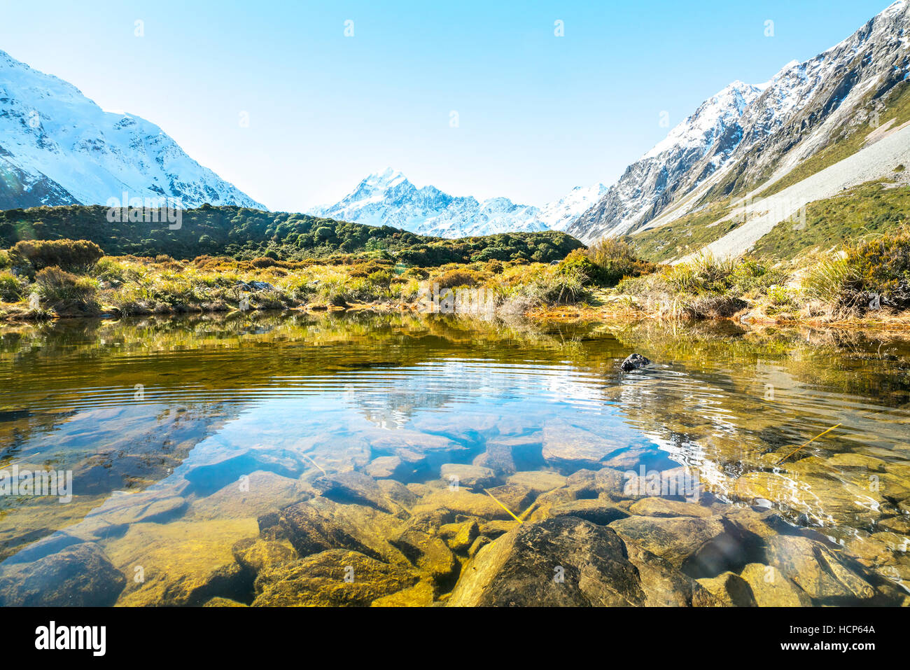 Clear water with mount cook reflection at New Zealand Stock Photo - Alamy