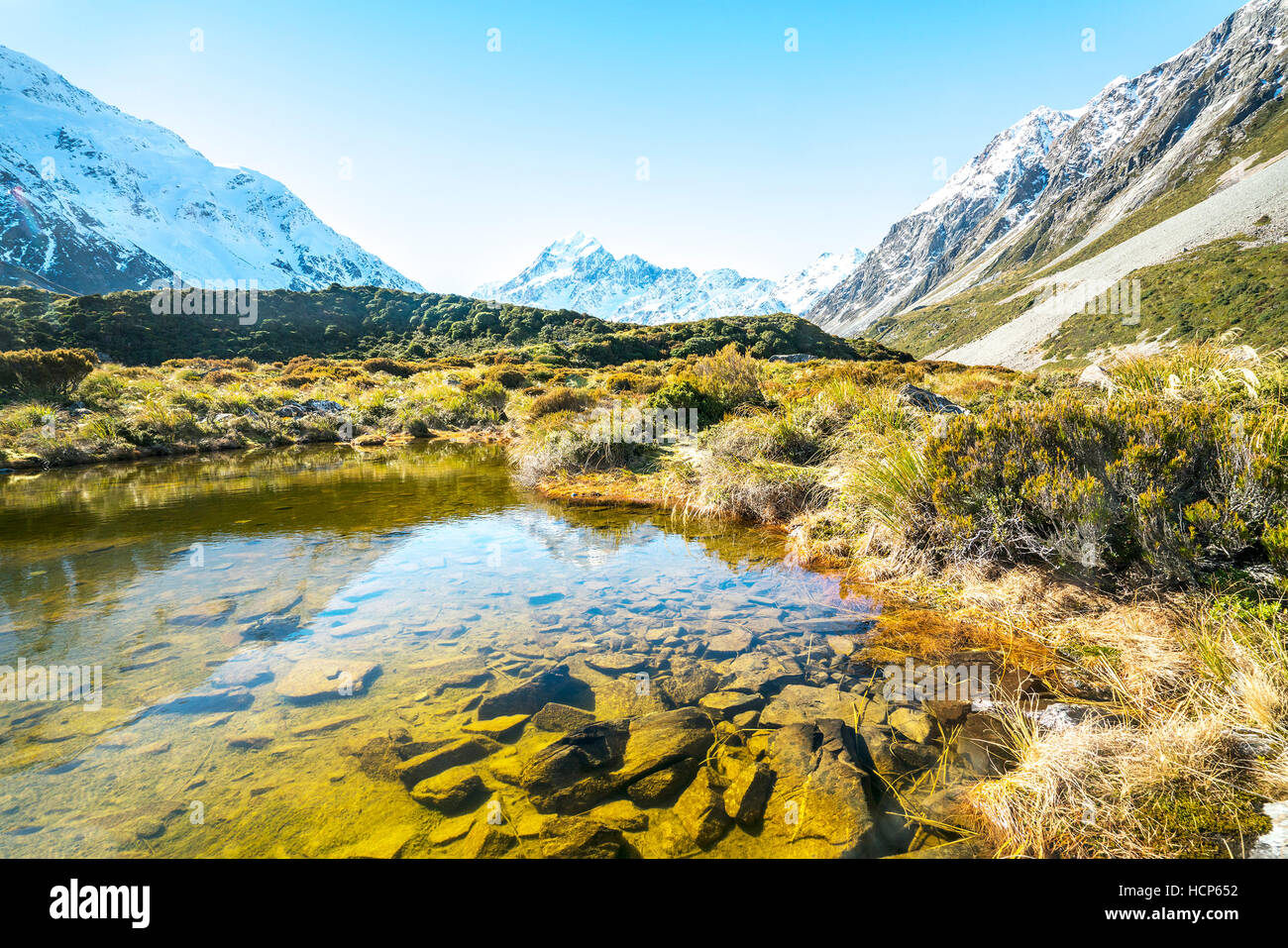 Clear water with mount cook reflection at New Zealand Stock Photo - Alamy
