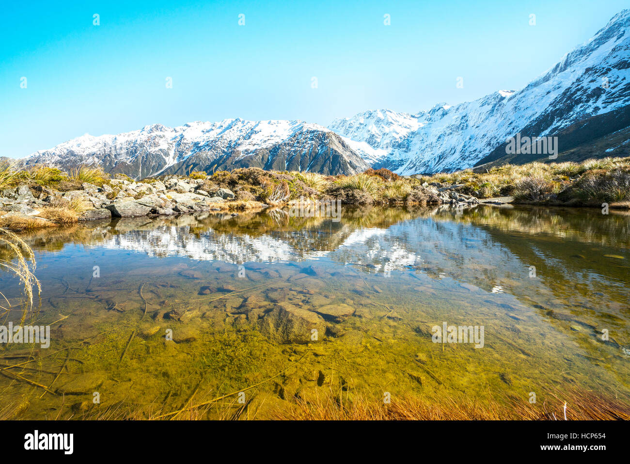 Clear water with mount cook reflection at New Zealand Stock Photo - Alamy