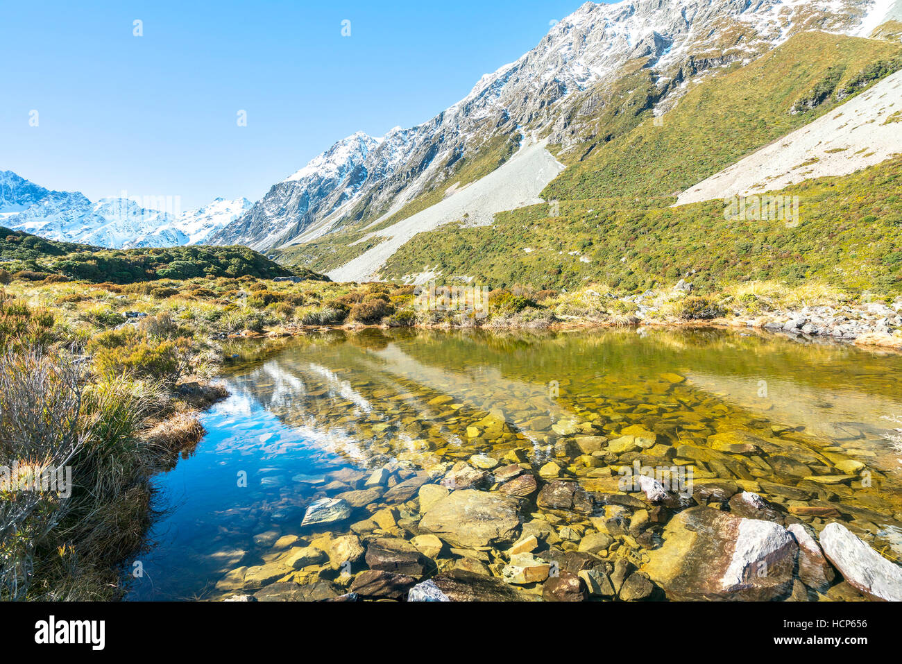 Clear water with mount cook reflection at New Zealand Stock Photo - Alamy