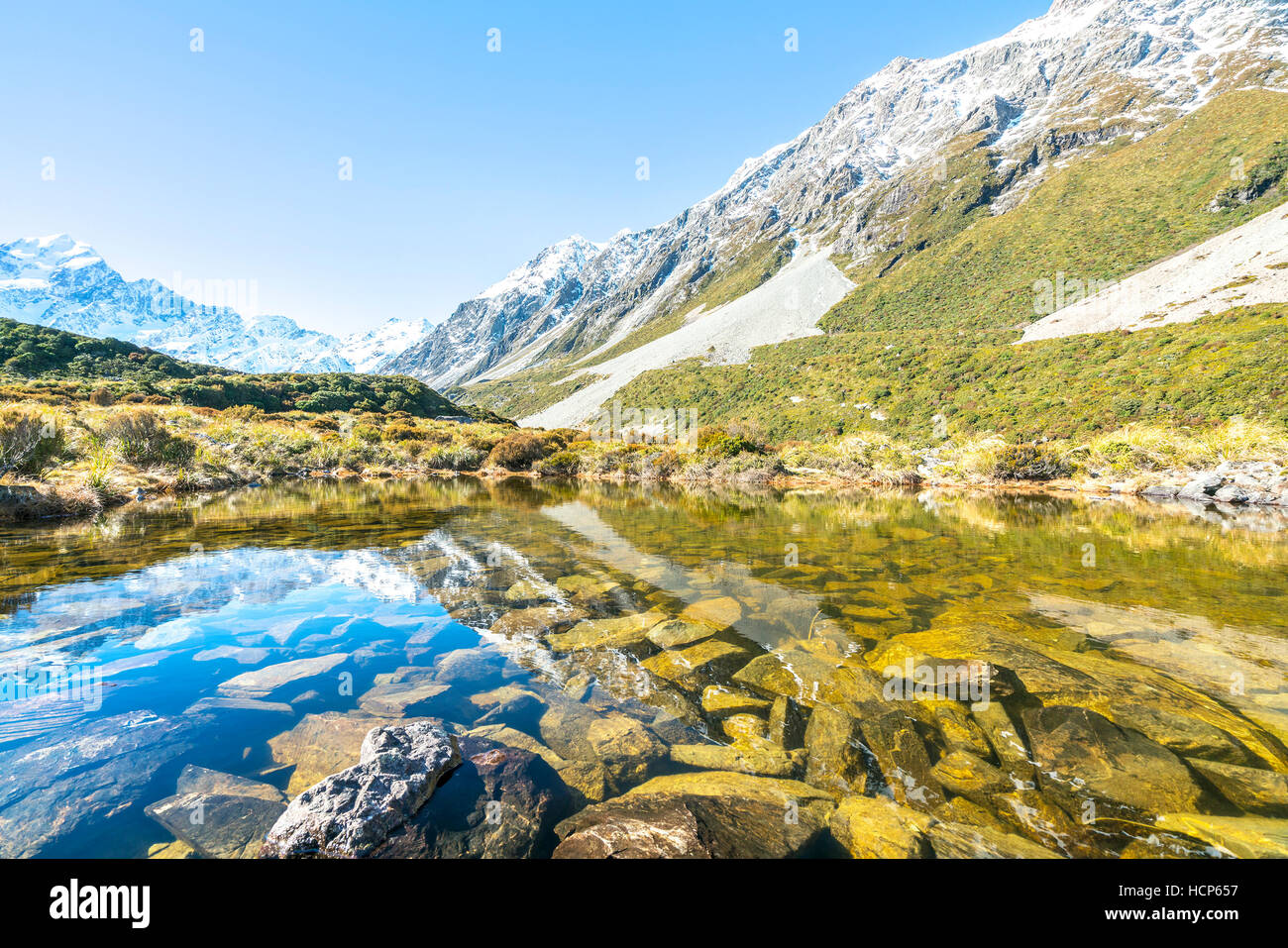 Clear water with mount cook reflection at New Zealand Stock Photo - Alamy