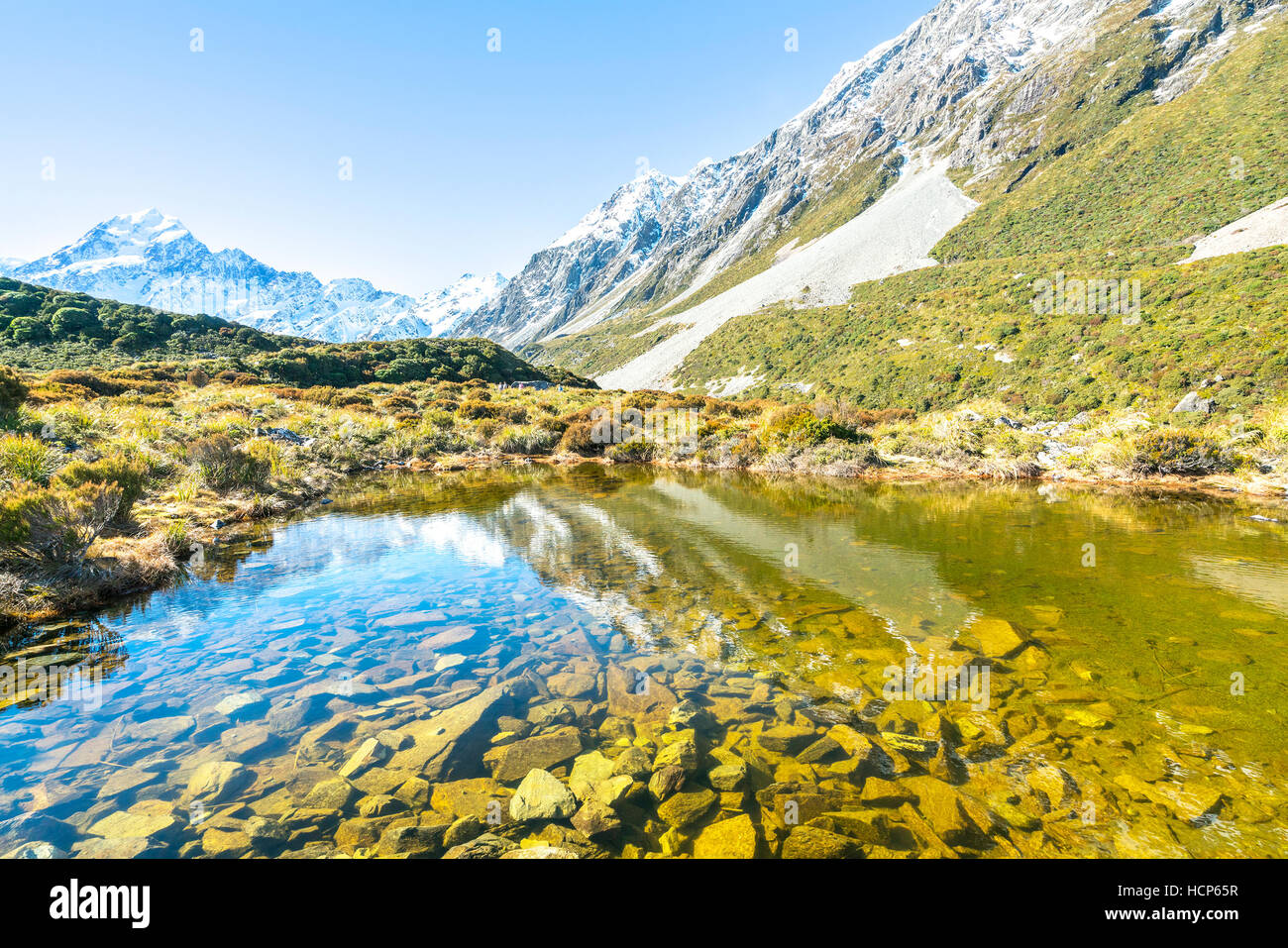 Clear water with mount cook reflection at New Zealand Stock Photo - Alamy
