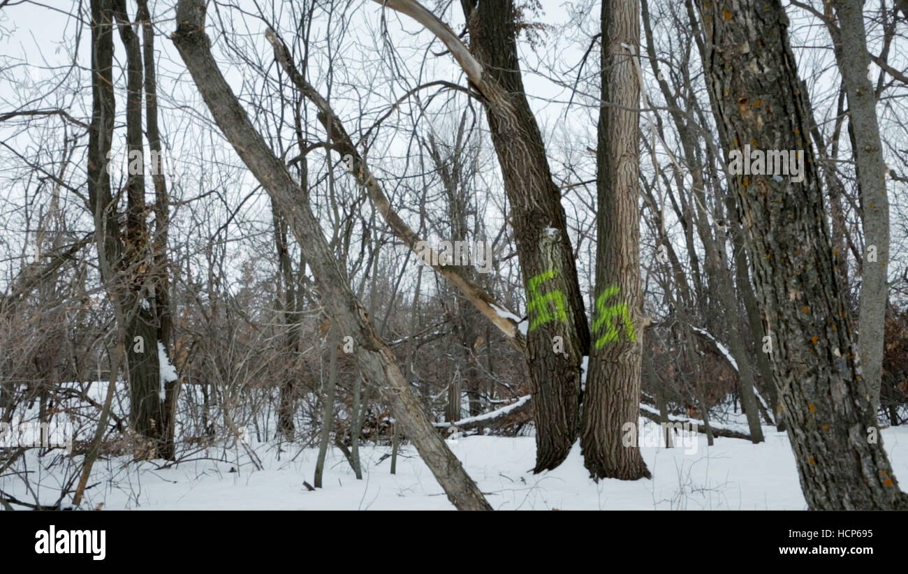 WELCOME TO LEITH, Swastikas spraypainted on trees, Leith, North Dakota ...