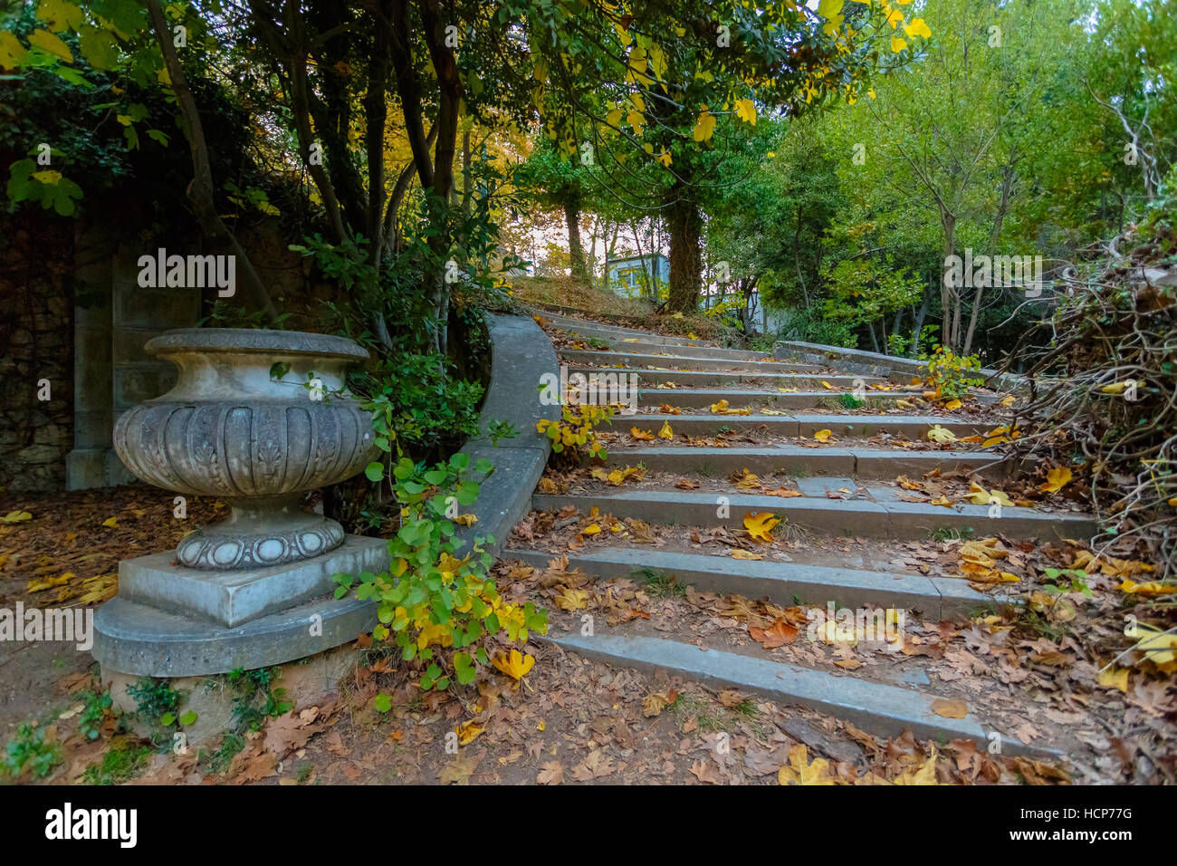 Tatoi Palace ruins in Greece, the summer palace and 10,000 acre estate ...