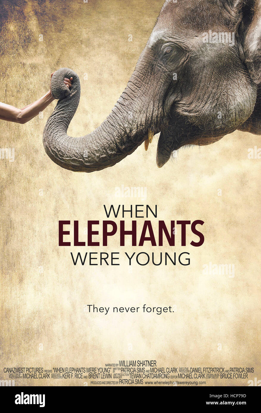 WHEN ELEPHANTS WERE YOUNG, US poster, 2016. © Emerging Pictures ...