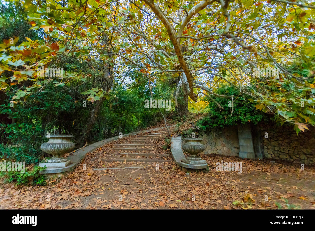 Tatoi Palace ruins in Greece, the summer palace and 10,000 acre estate ...