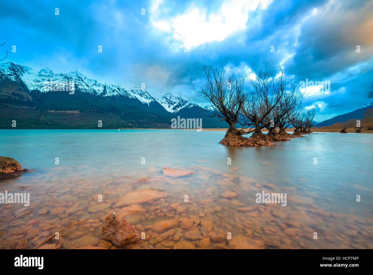 The Famous Willow Trees of Glenorchy, New Zealand Stock Photo - Alamy