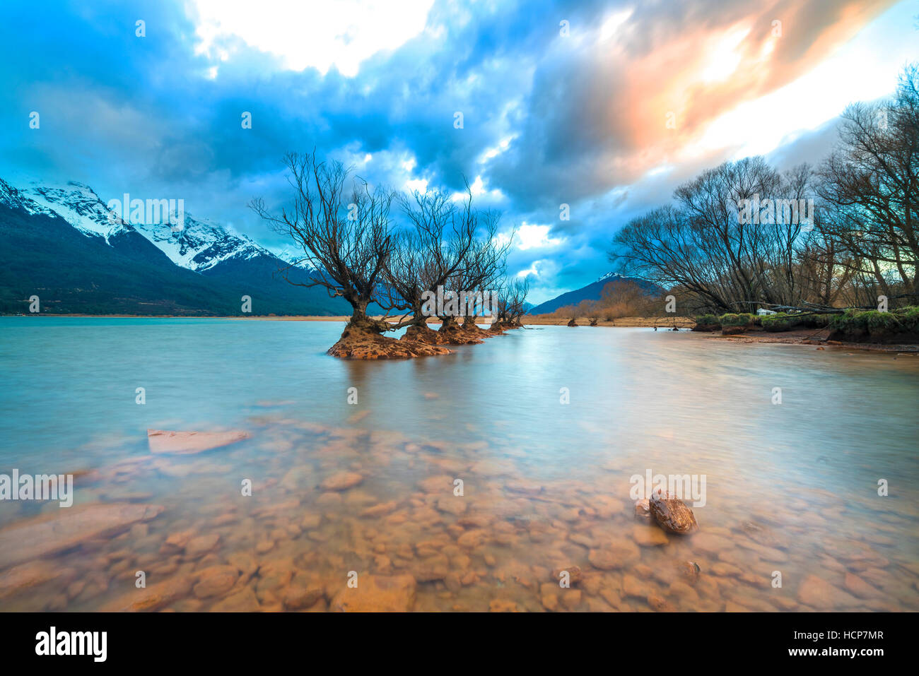 The Famous Willow Trees of Glenorchy, New Zealand Stock Photo - Alamy