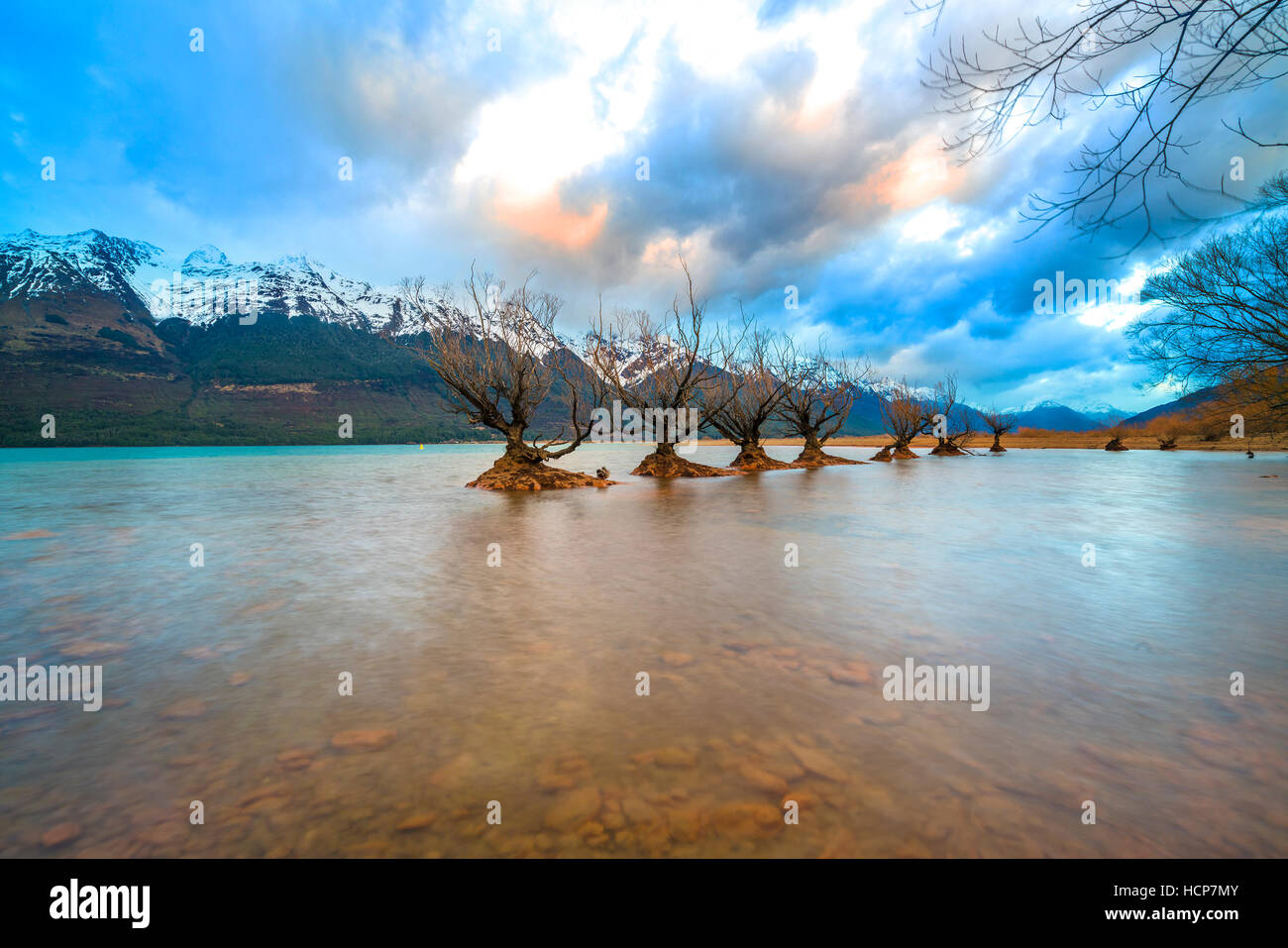 The Famous Willow Trees of Glenorchy, New Zealand Stock Photo - Alamy