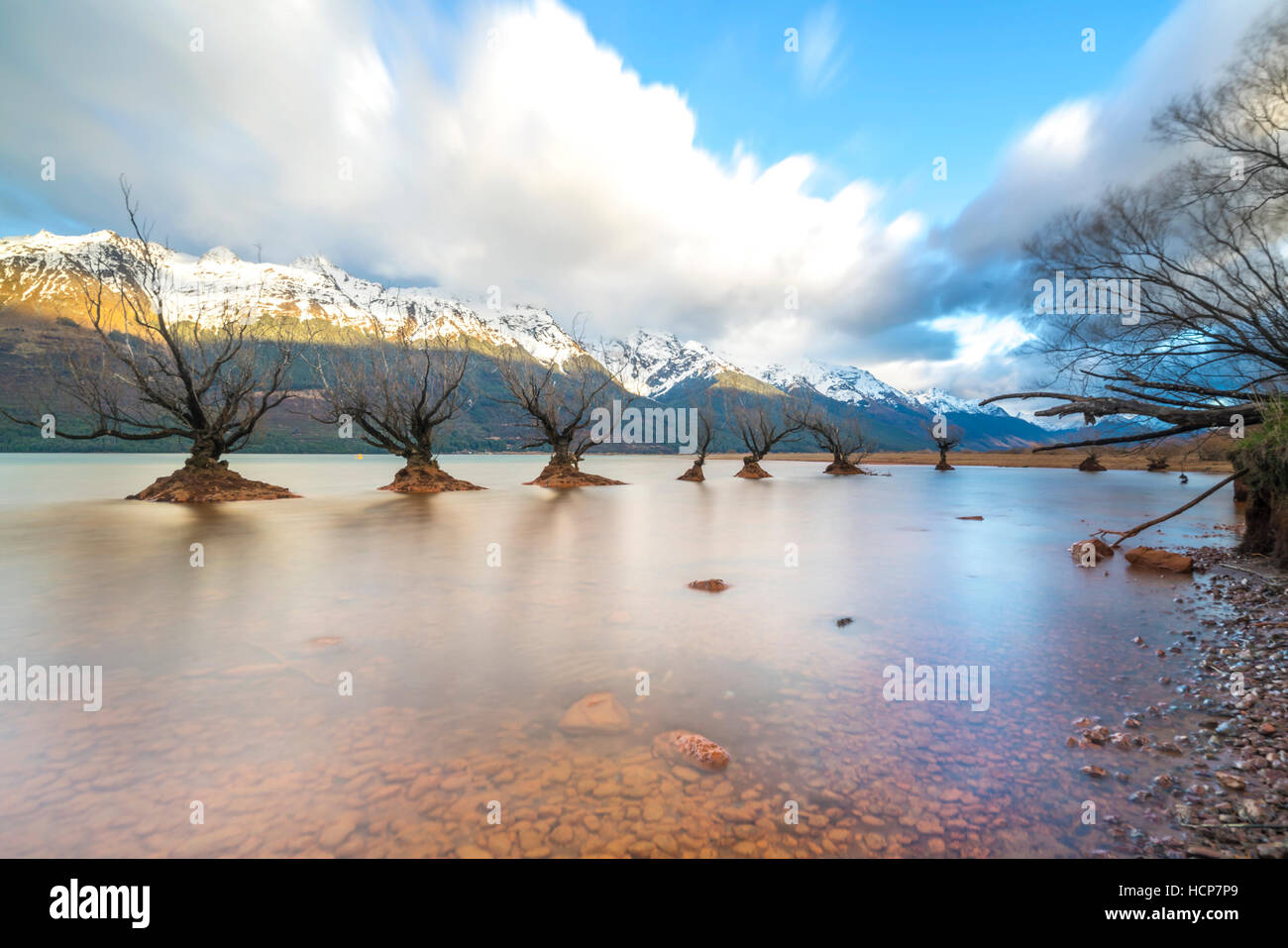 The Famous Willow Trees of Glenorchy, New Zealand Stock Photo - Alamy