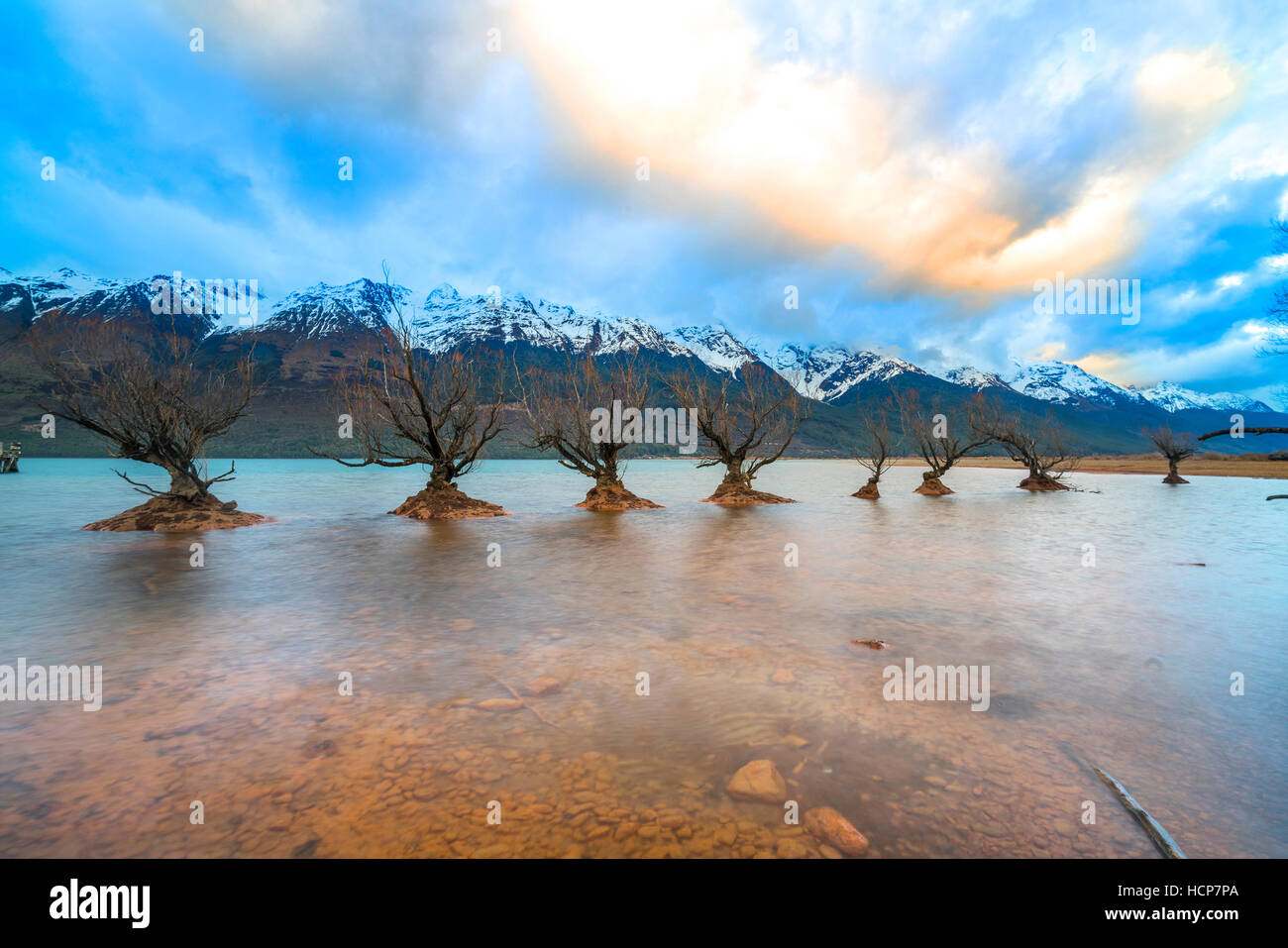 The Famous Willow Trees of Glenorchy, New Zealand Stock Photo - Alamy