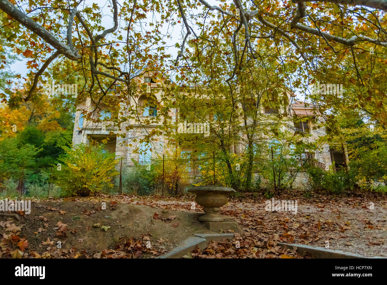 Tatoi Palace ruins in Greece, the summer palace and 10,000 acre estate ...