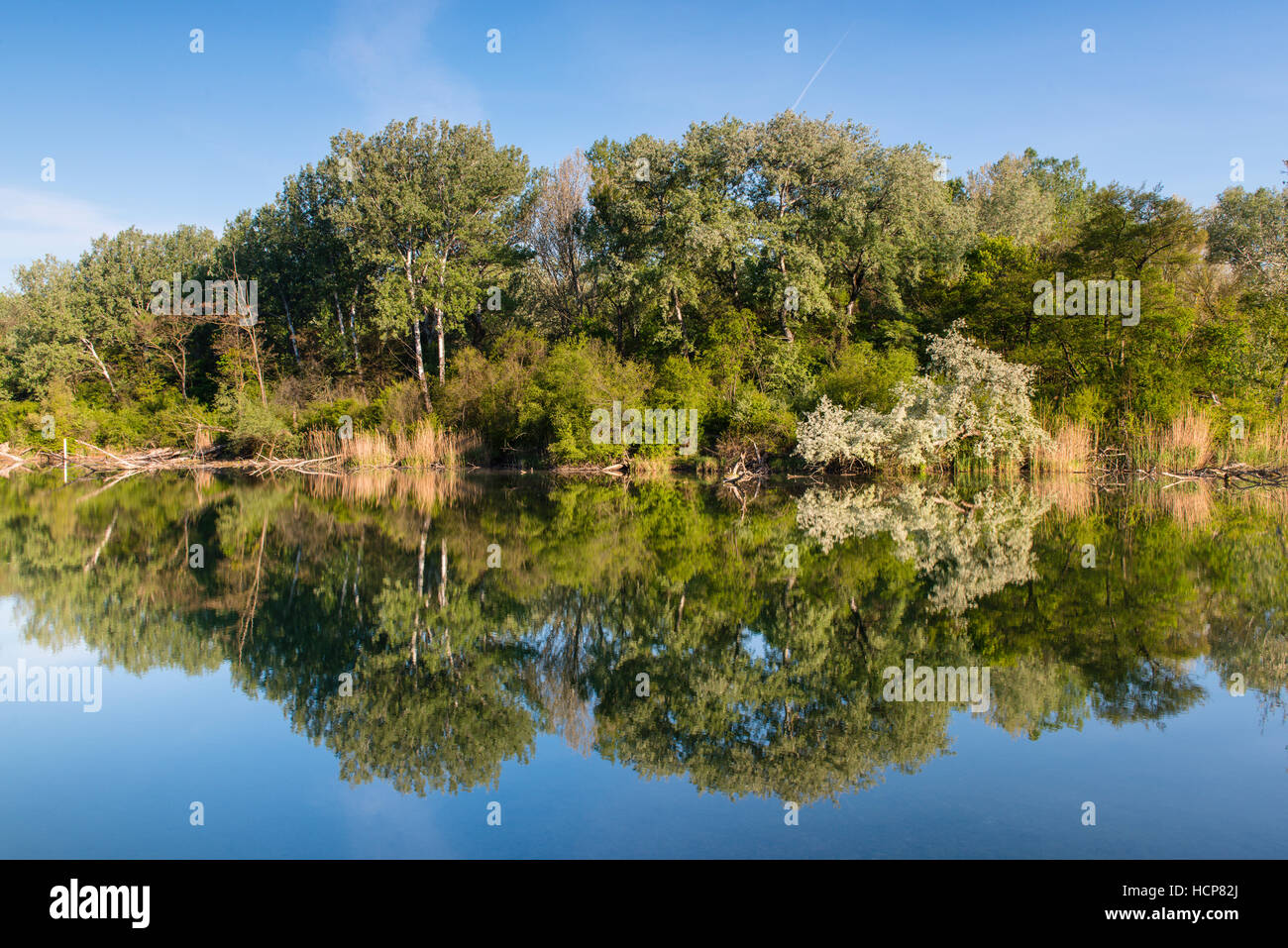 Lobau hi-res stock photography and images - Alamy