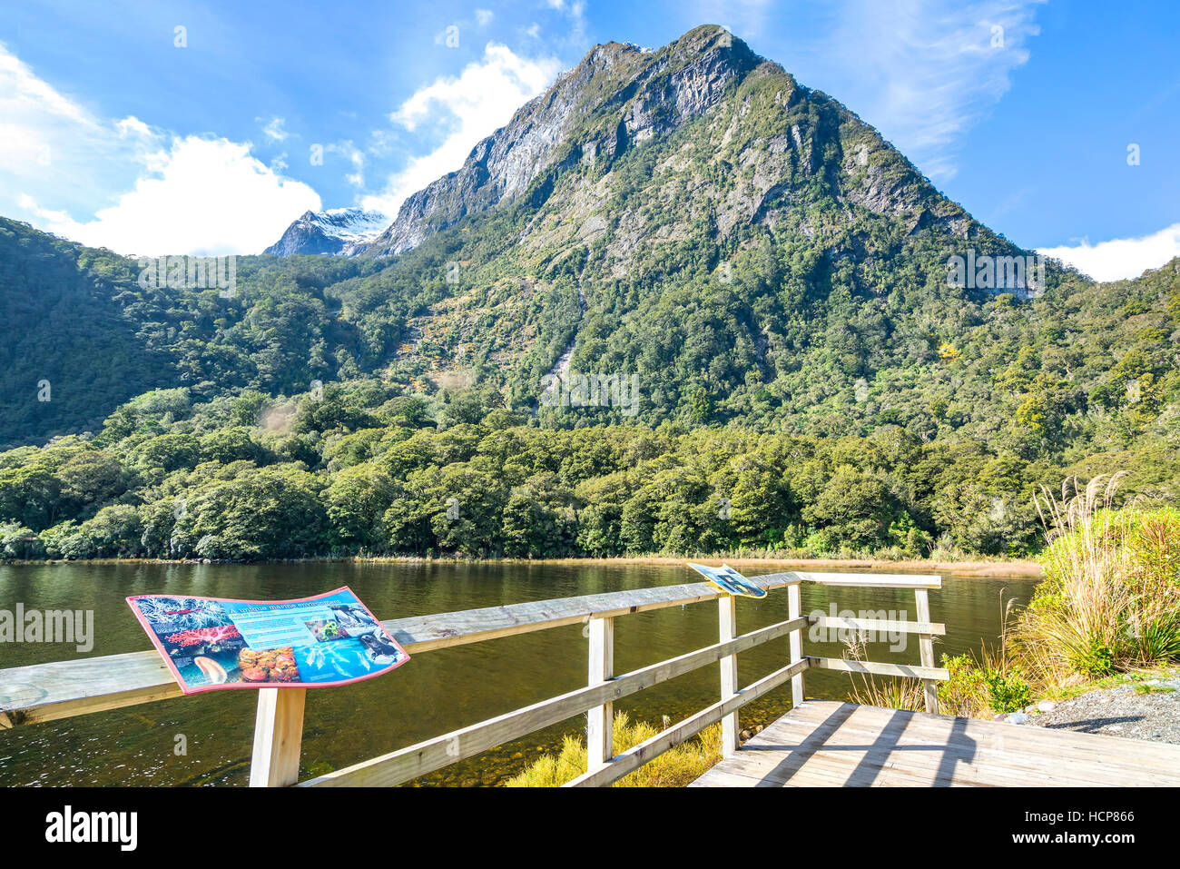 Wooden platform view of Milford Sound mount, New Zealand Stock Photo ...