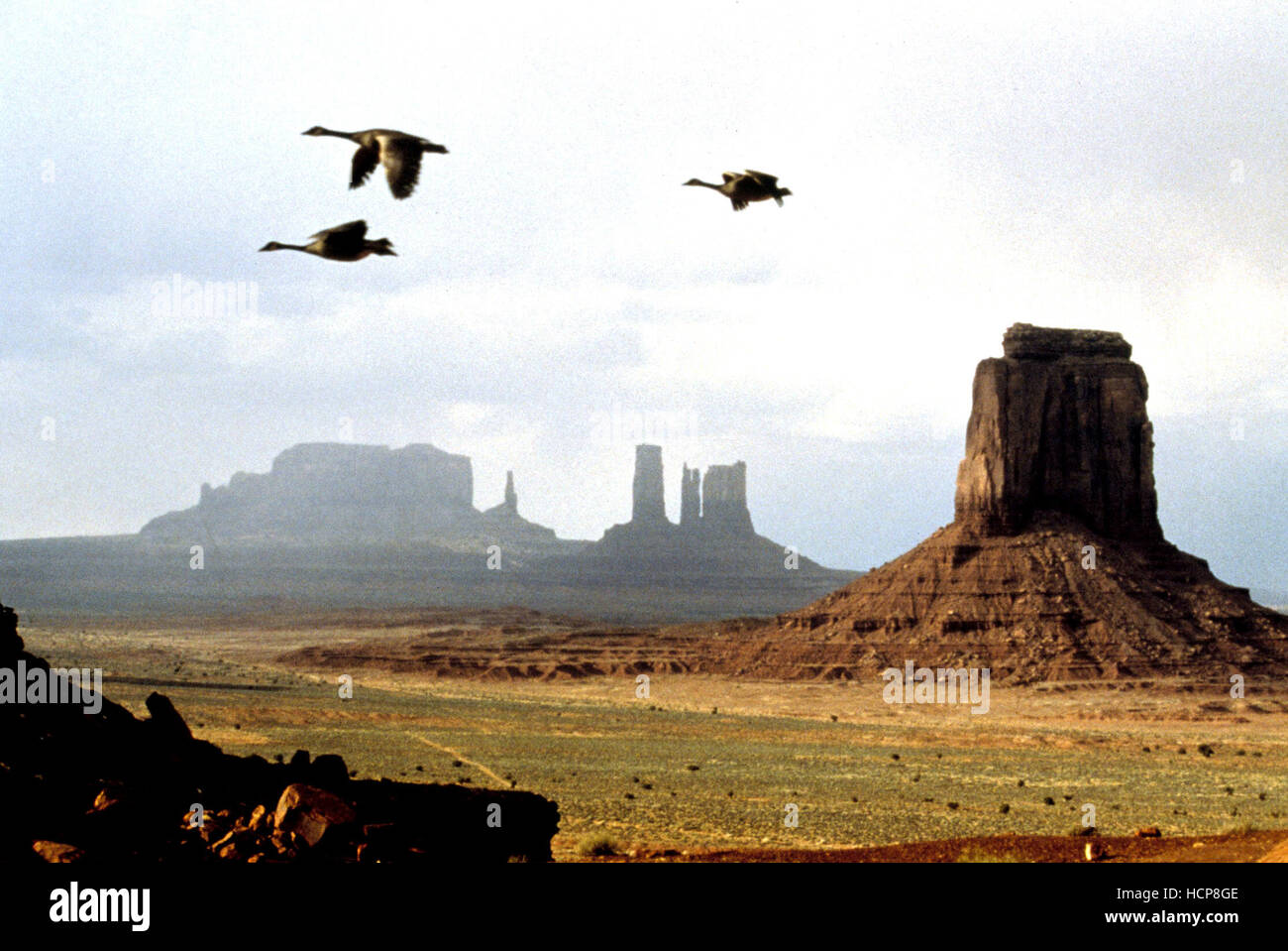WINGED MIGRATION, Canadian Geese, 2001 Stock Photo - Alamy