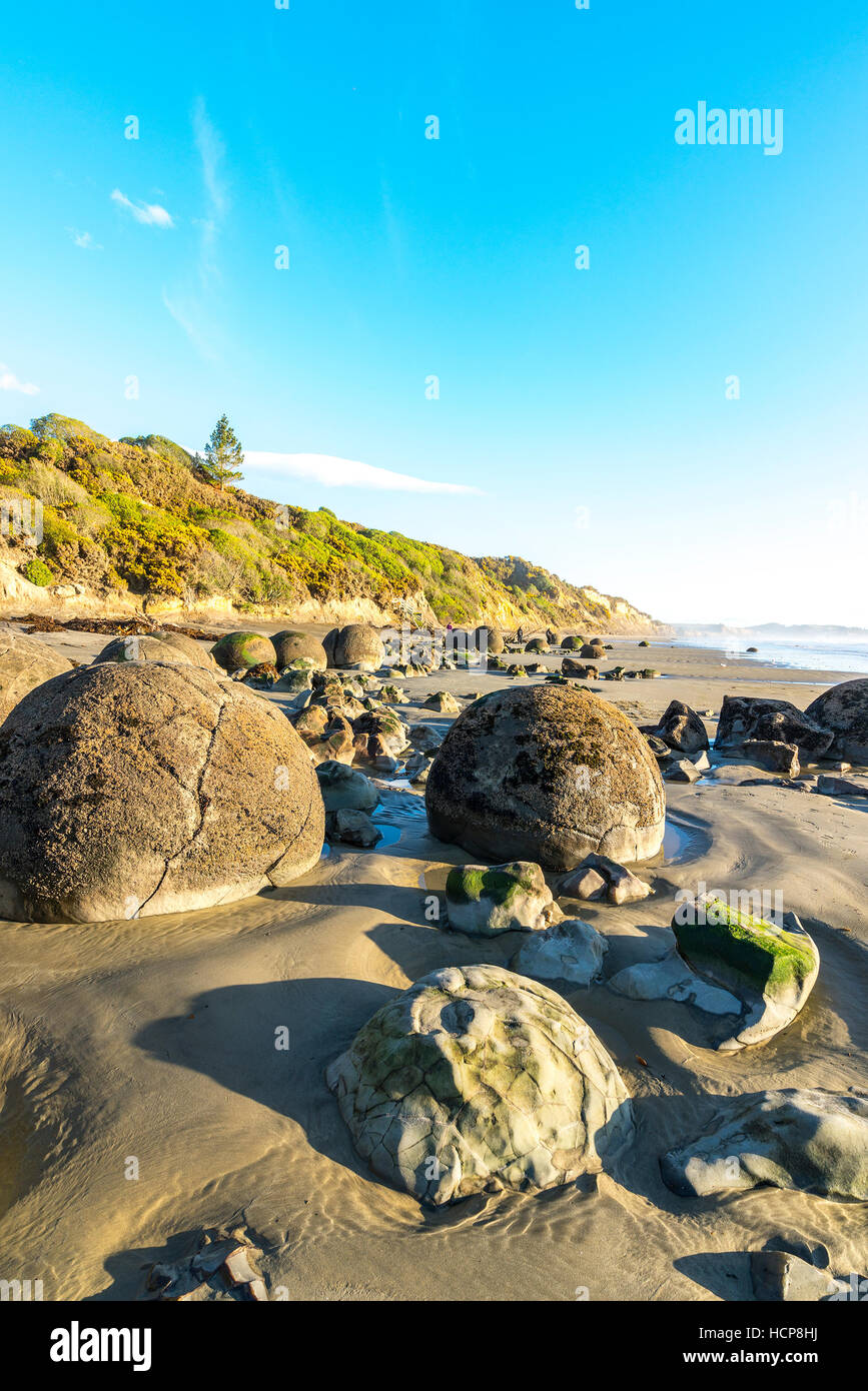 Big rock at moeraki boulders beach, New Zealand Stock Photo - Alamy